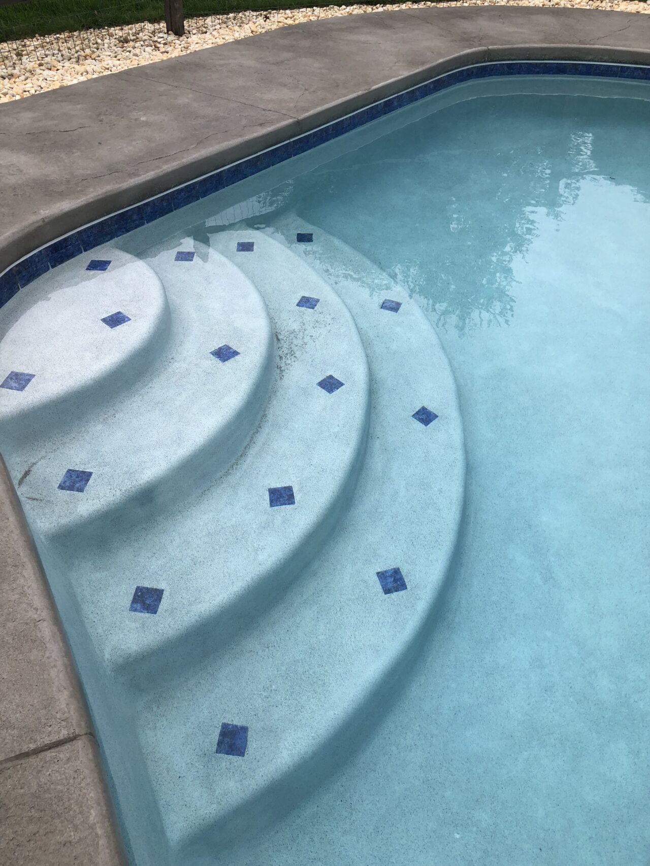 Trim & Accent Tiles Gallery - FROG’S POOL RENOVATIONS, PLASTER, TILE ...