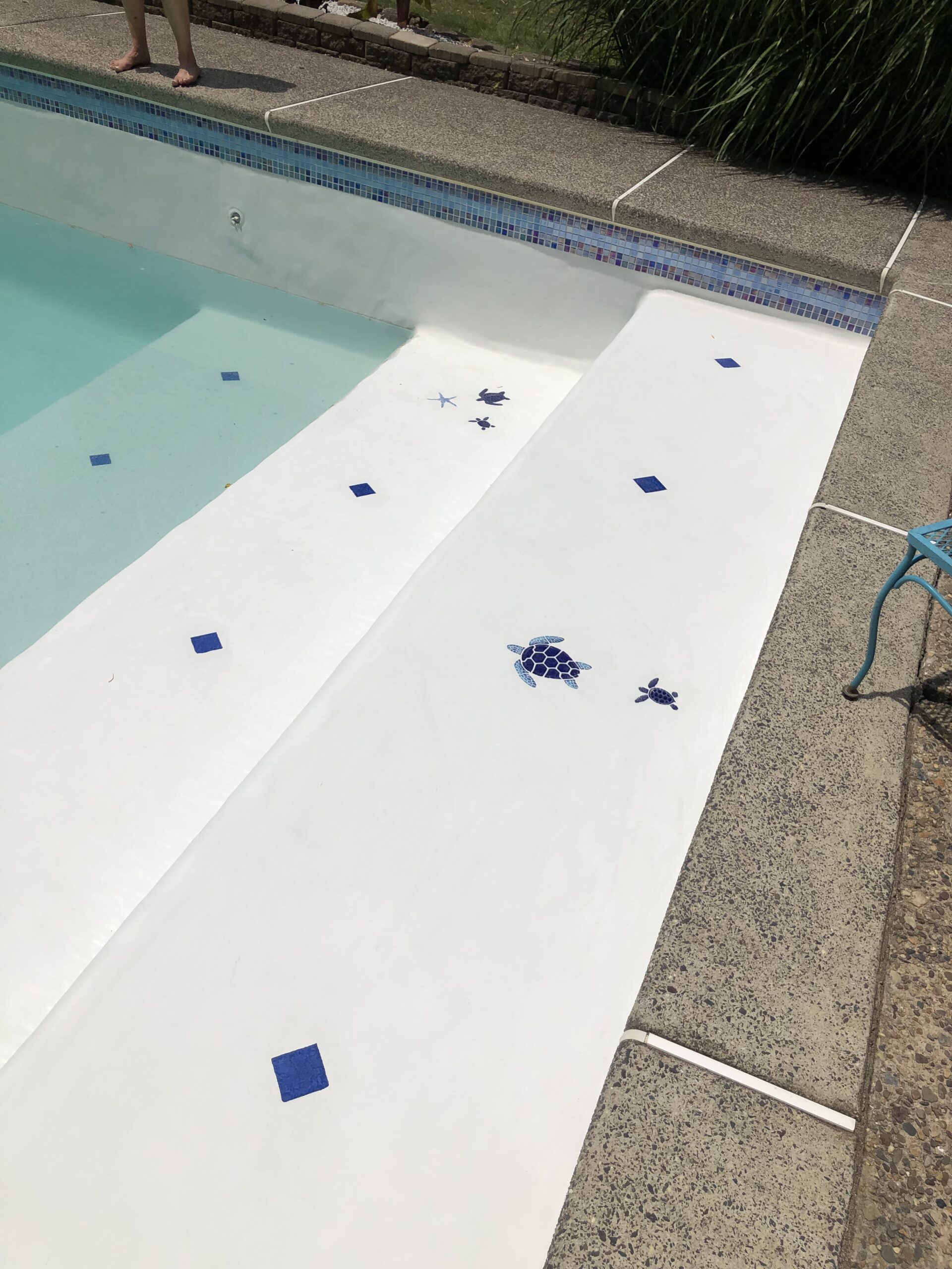 Trim & Accent Tiles Gallery - FROG’S POOL RENOVATIONS, PLASTER, TILE ...