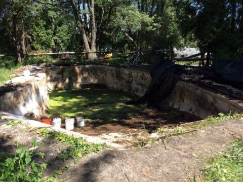 Before & After Gallery - FROG’S POOL RENOVATIONS, PLASTER, TILE, COPING ...