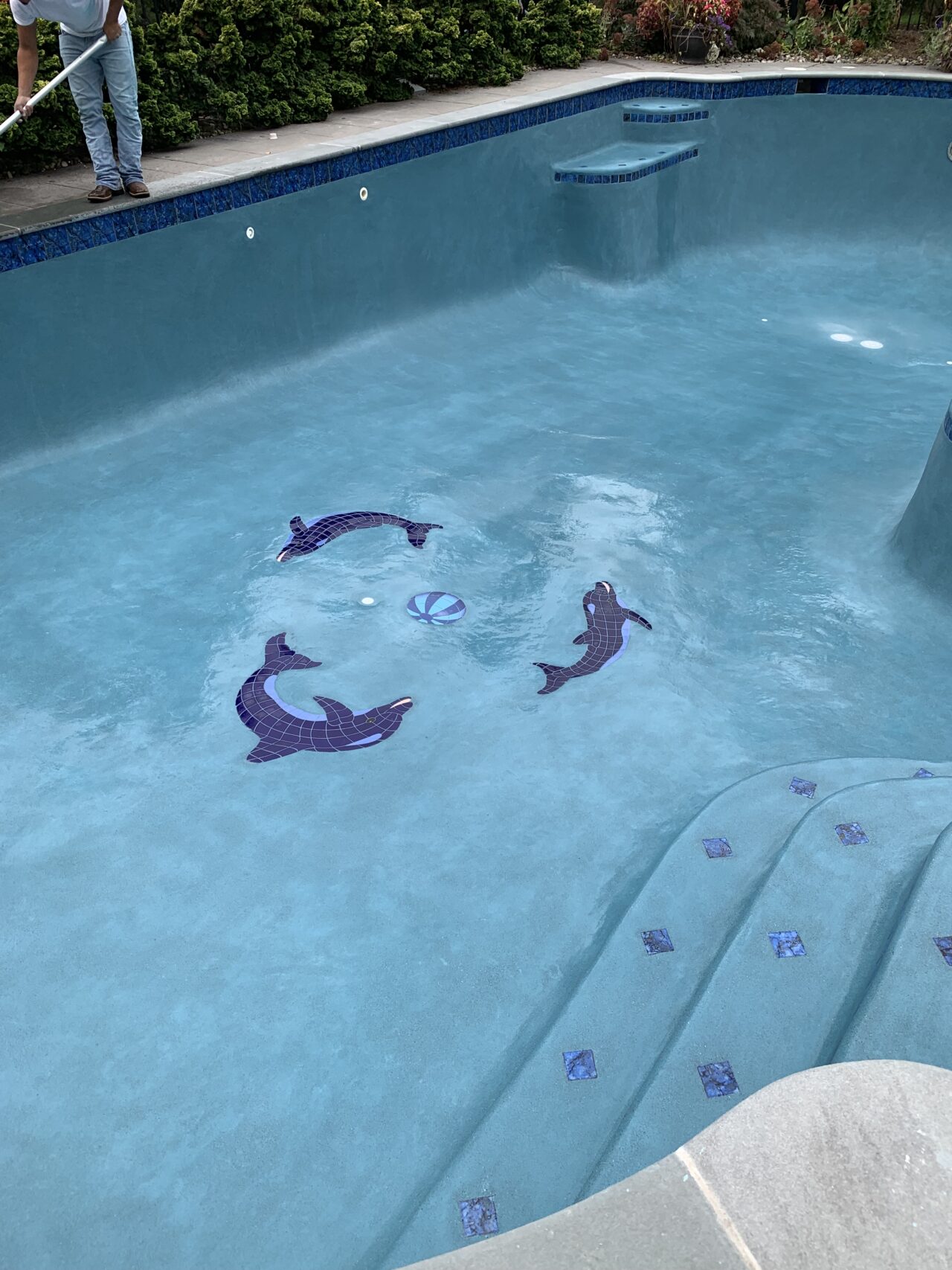 Pool Plaster Finishes - FROG’S POOL RENOVATIONS, PLASTER, TILE, COPING ...